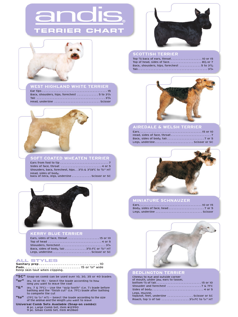 Terrier Chart by ANDIS | PDF | Dogs | Dog Breeds