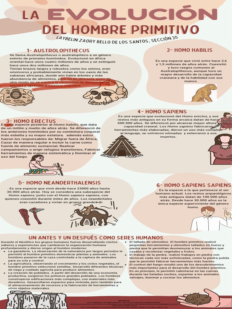 Evolución del Hombre Primitivo | PDF | Homo | Humano