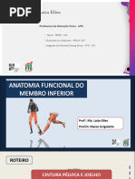 Musculos Quadril Tabela | PDF | Quadril | Anatomia dos membros inferiores
