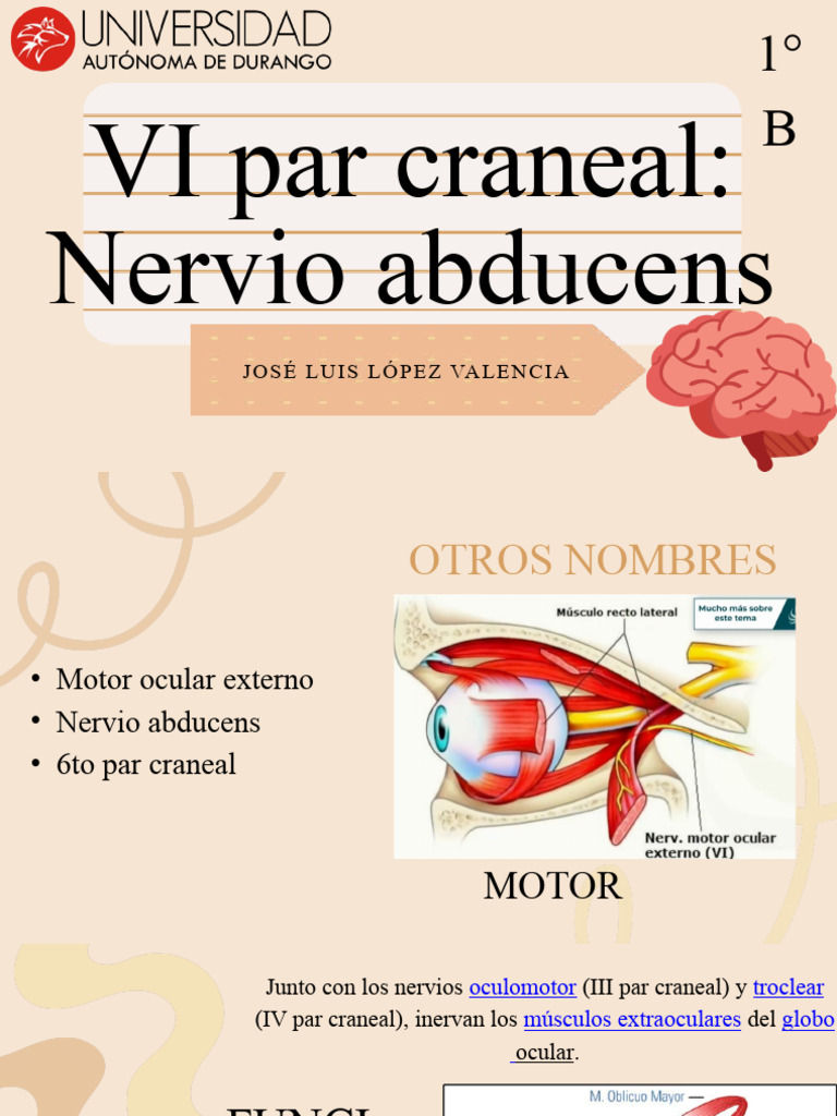 VI PAR CRANEAL - Presentación | PDF