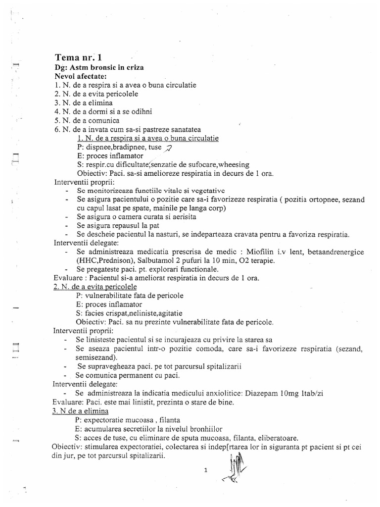 Planuri de Ingrijire | PDF