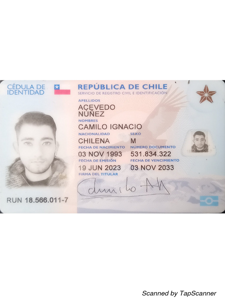 TapScanner Document Scan Overview | PDF