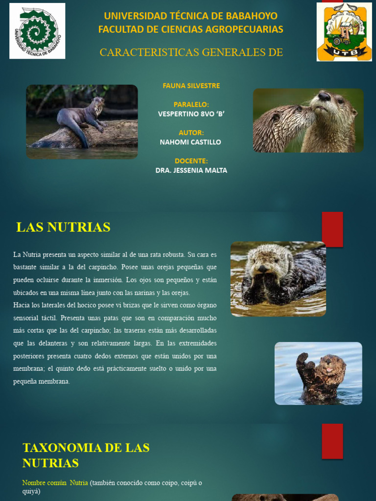 NUTRIAS | PDF | Nutria | Organismos