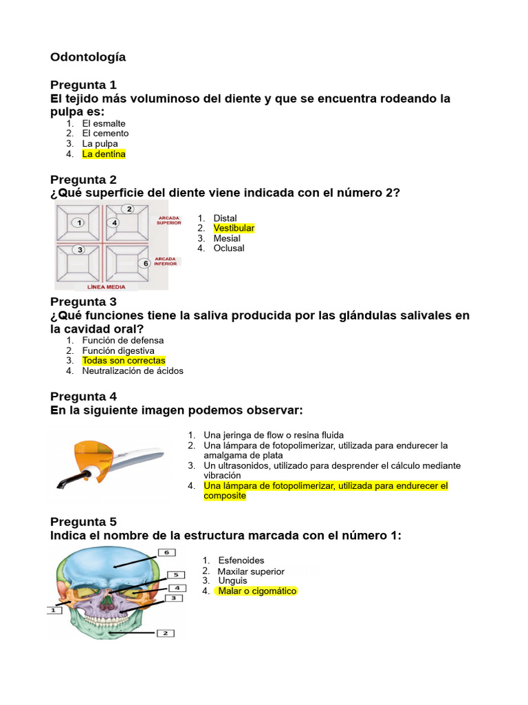 Odontología Completo Corregido | PDF | Odontología | Diente
