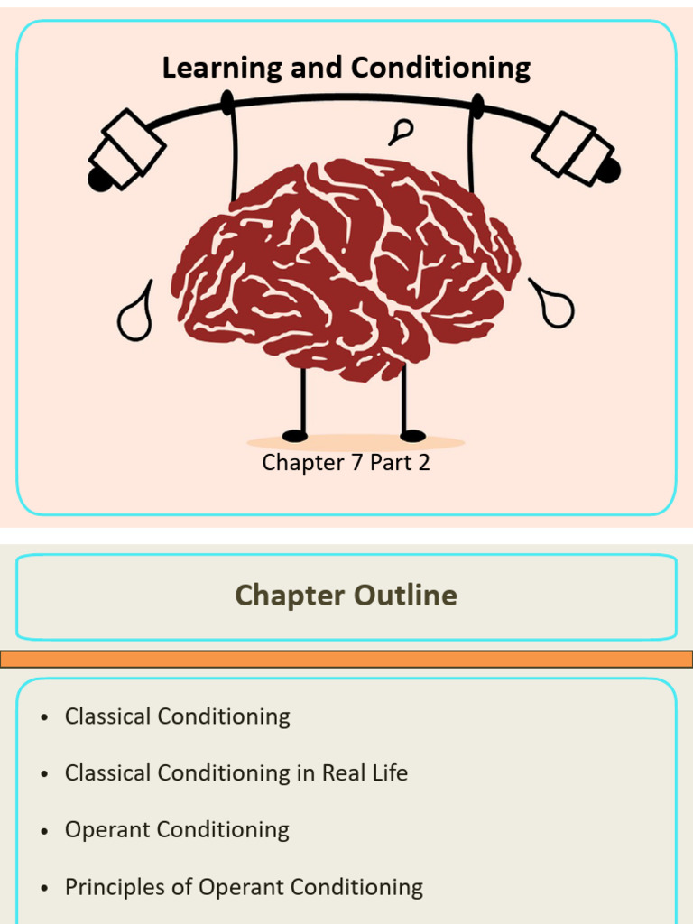 Chapter 7 Part 2 Learning and Conditioning | PDF | Classical Conditioning | Phobia