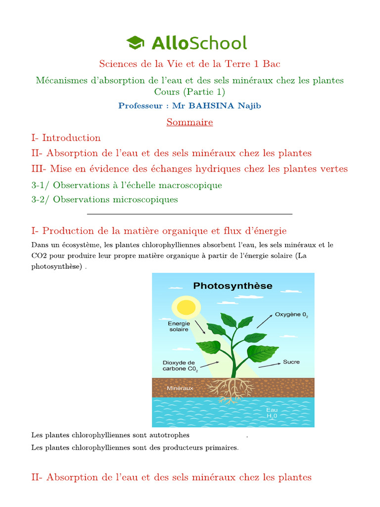 Mécanismes d'absorption des sels minéraux | PDF