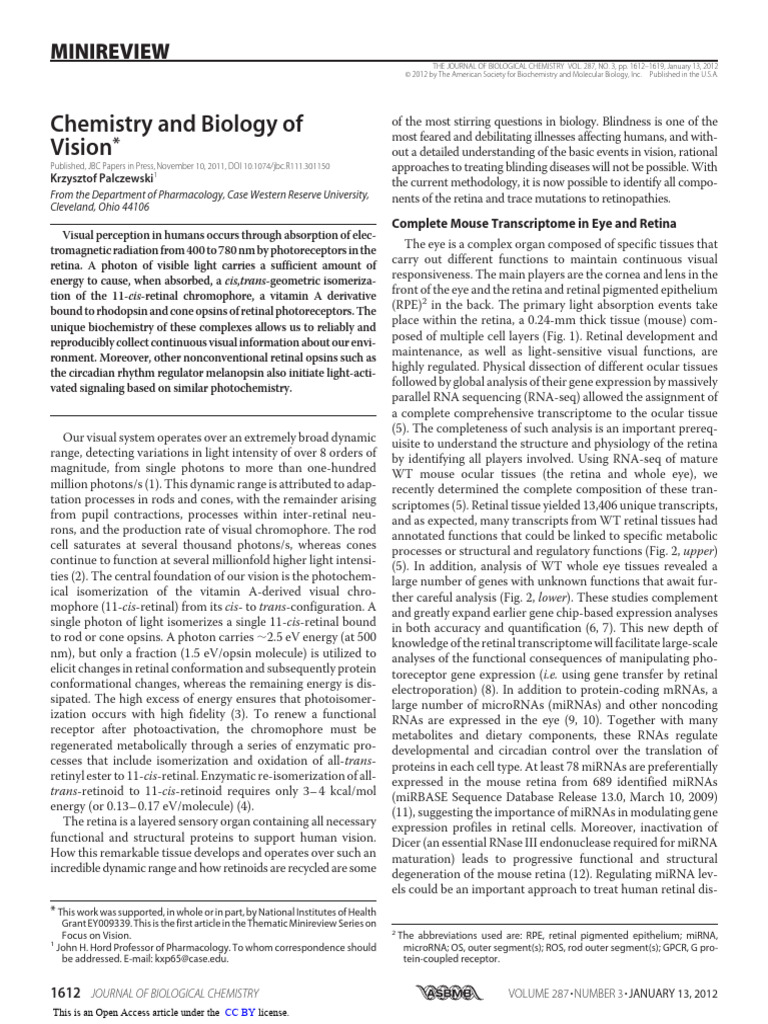 Chemistry of Vision and Retinal Function | PDF | Retinal | Retina