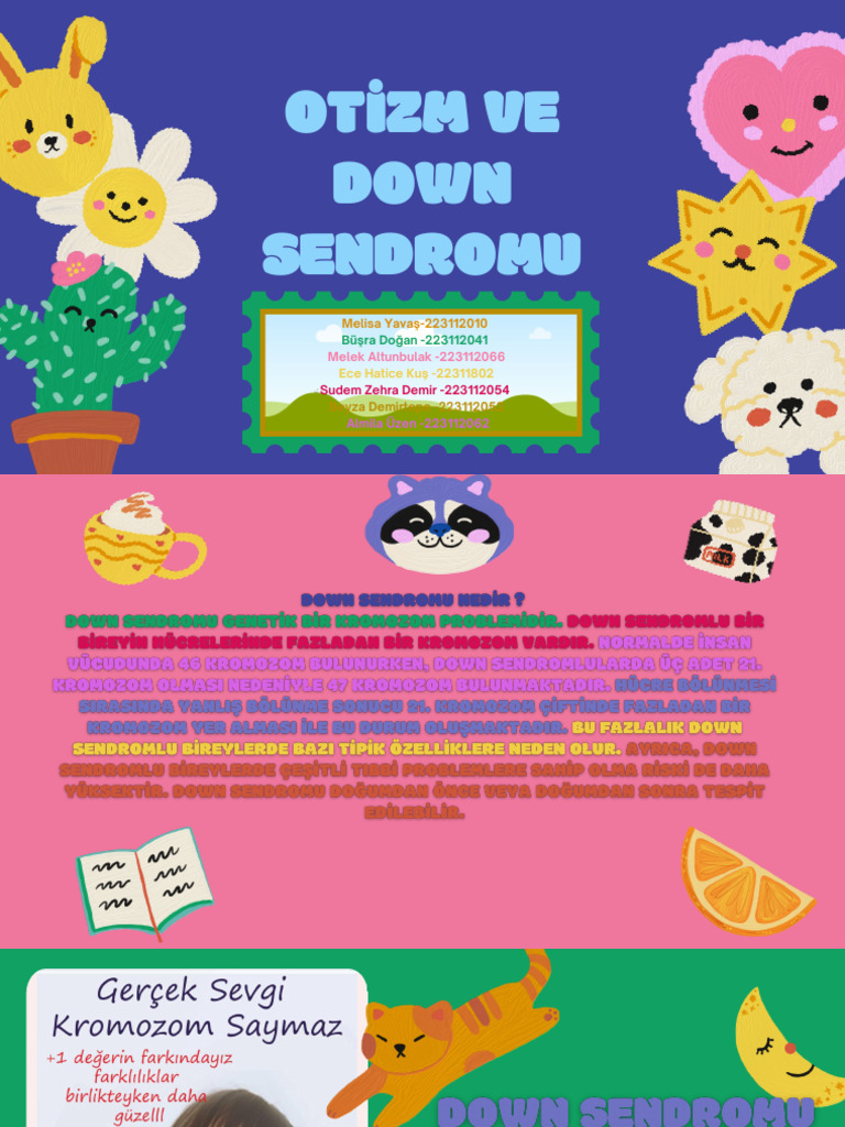 Otizm Ve Down Sendromu Sunum | PDF