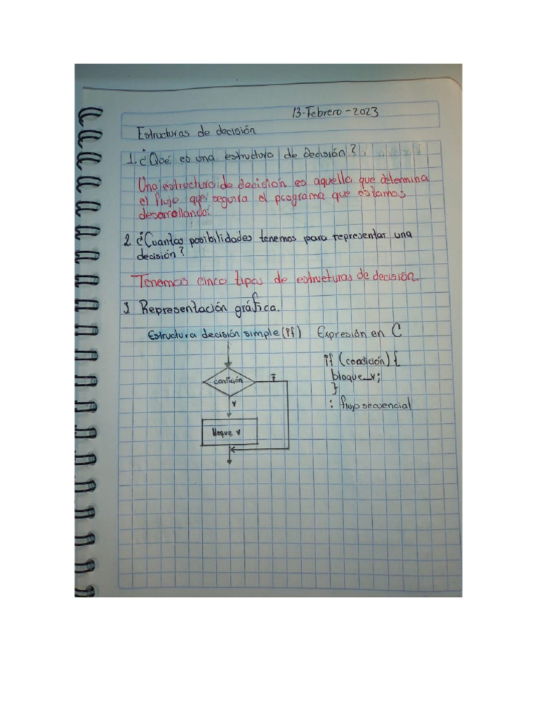 Estructuras de Decision | PDF