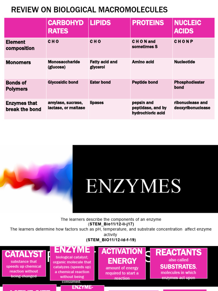 ENZYMES | PDF | Enzyme | Active Site