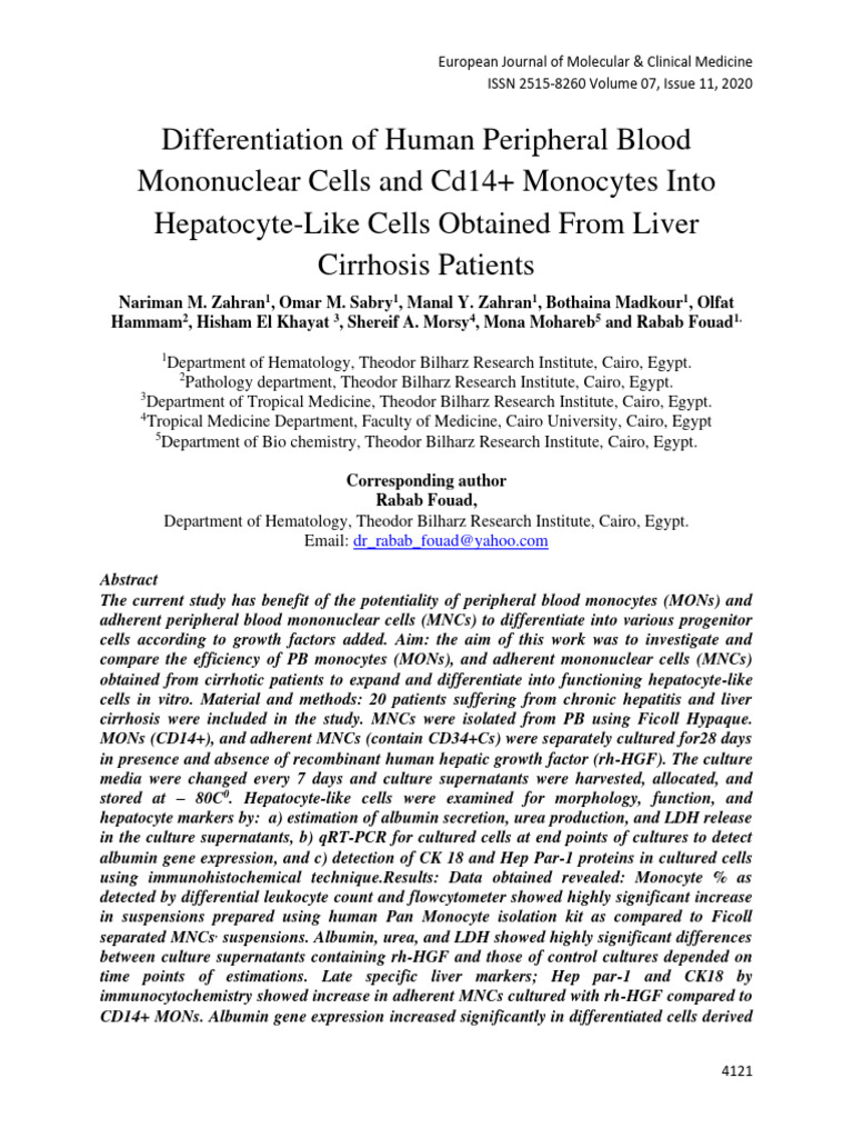 Differentiation of Human Peripheral Blood MNCs & Monocytes Into ...