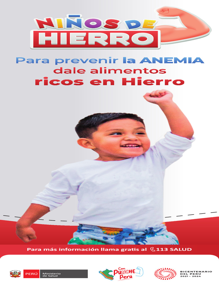 BANNER ROLLER Ricos en Hierro Niño | PDF