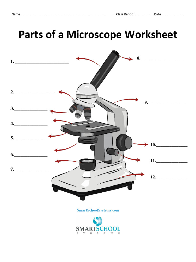 Parts of A Microscope Worksheet Blanks 1 | PDF | Computers | Technology ...