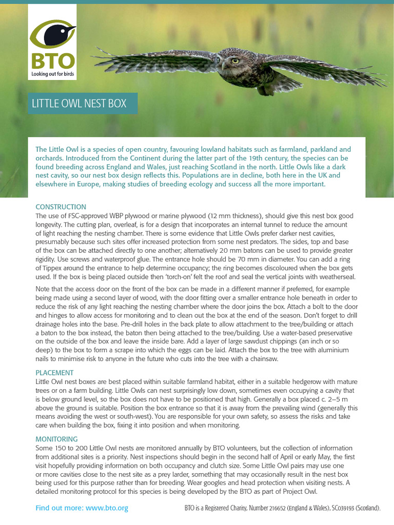 Little Owl Nest Box Construction Guide | PDF | Birds | Ornithology