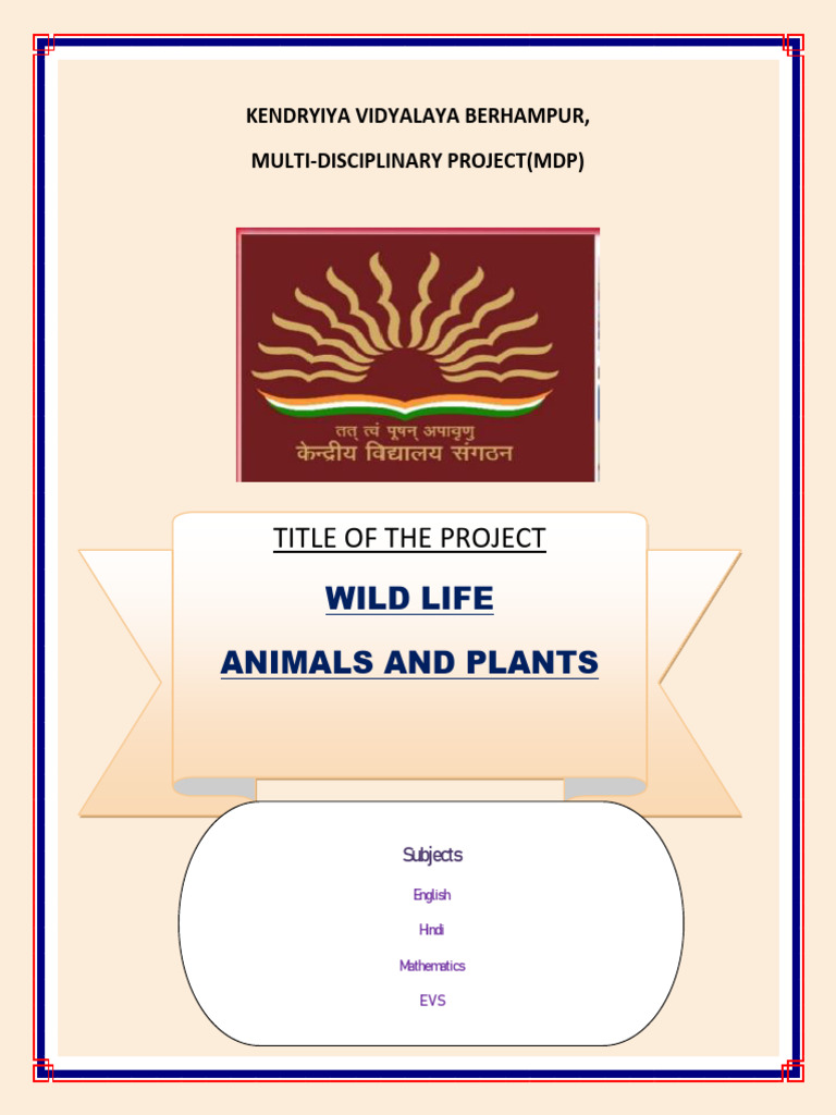 Multi-Disciplinary Project Forr Primary Classes (I-V) | PDF