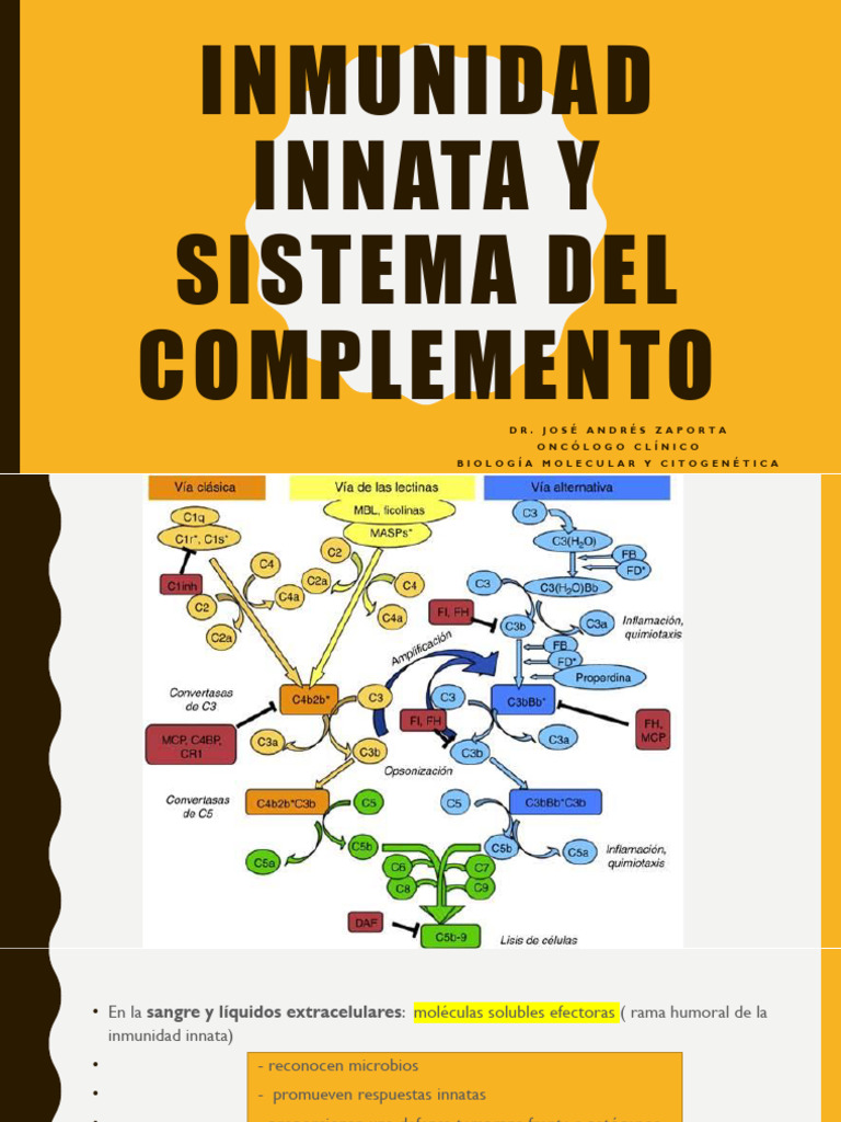 Inmunidad Innata y Sistema Del Complemento | Descargar gratis PDF | Sistema complementario ...