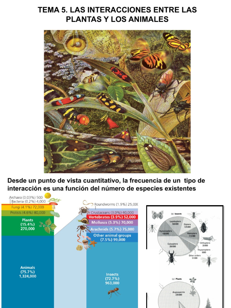 Tema 5. Interacciones Entre Las Plantas y Los Animales_23_24 | PDF ...