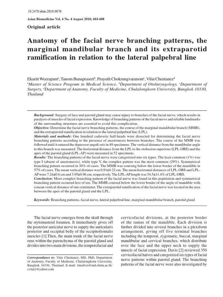 Anatomy of The Facial Nerve Branching Patterns The Marginal Mandibular ...