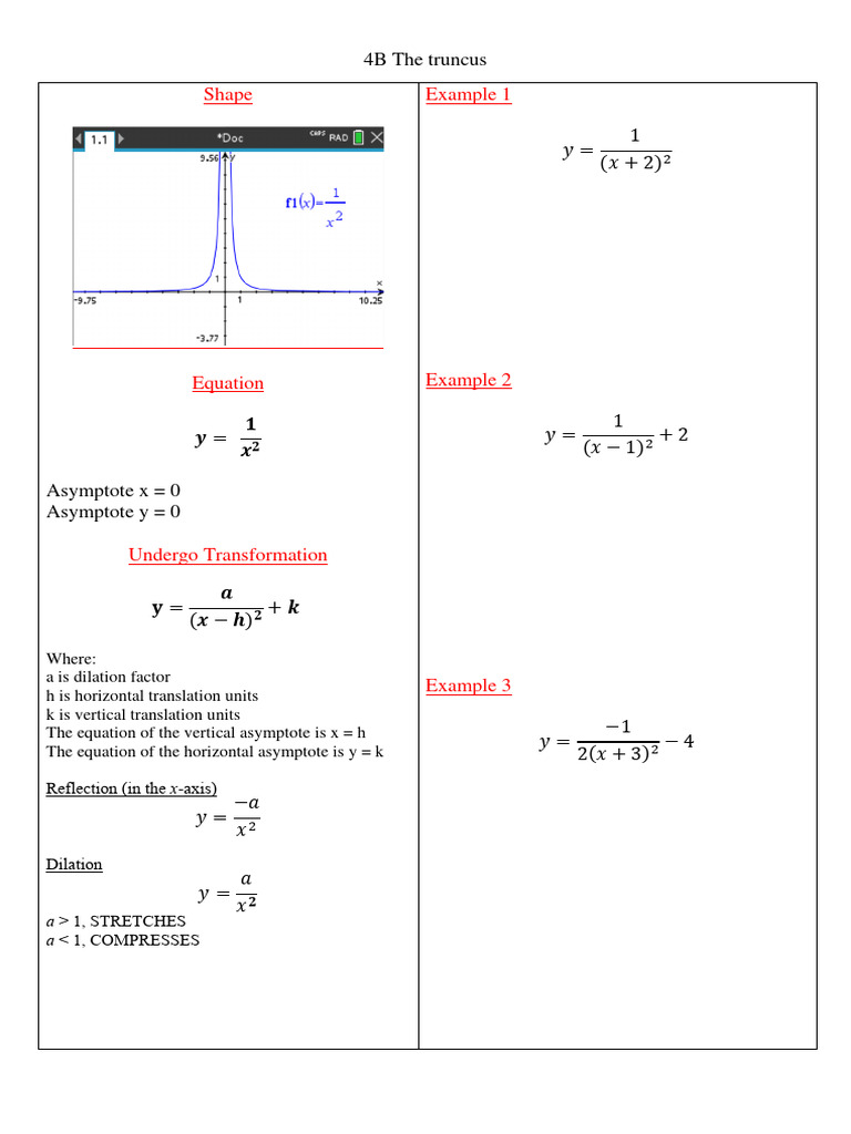 4B The Truncus | PDF