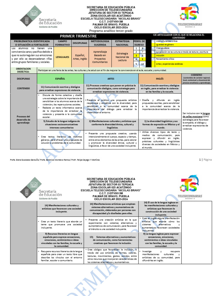 Programa Analitico 3ro Academia | PDF | Inclusión (Educación) | Química