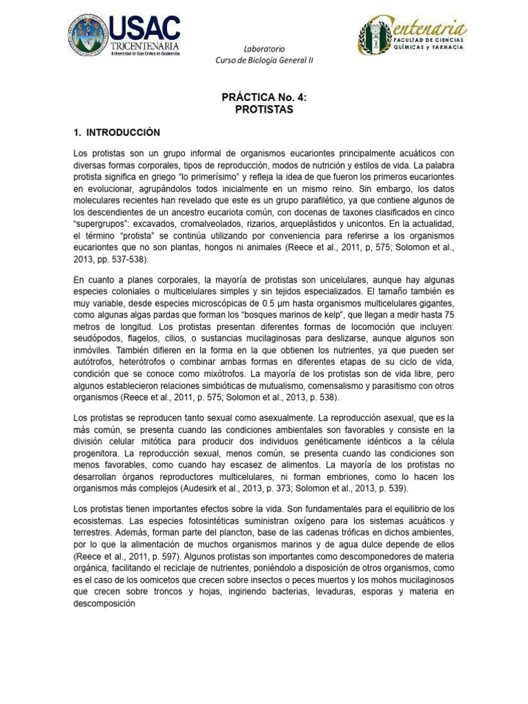 Práctica No. 4 Protistas BGII-2023 | PDF | Eucariotas | Reproducción