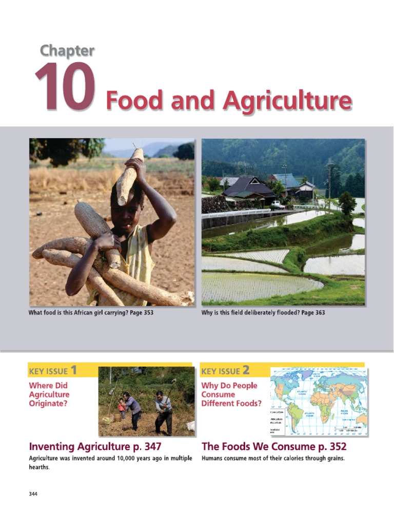 Textbook 11E - Chapter 10 | PDF