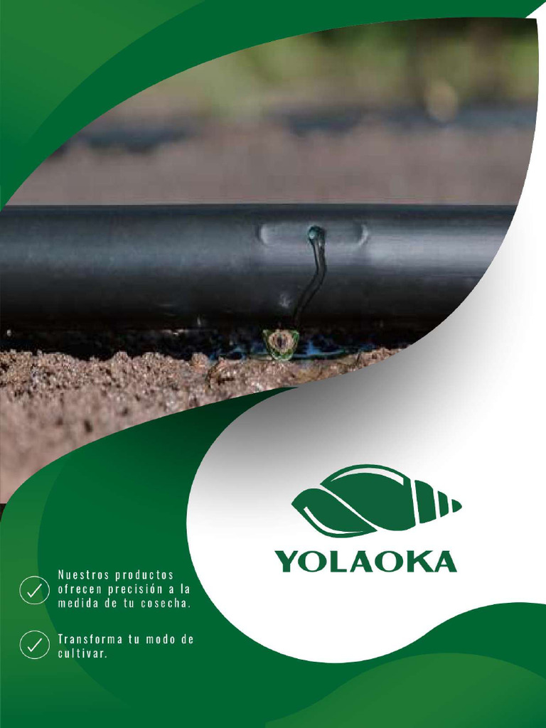 Ficha Técnica Cinta DAYU | PDF