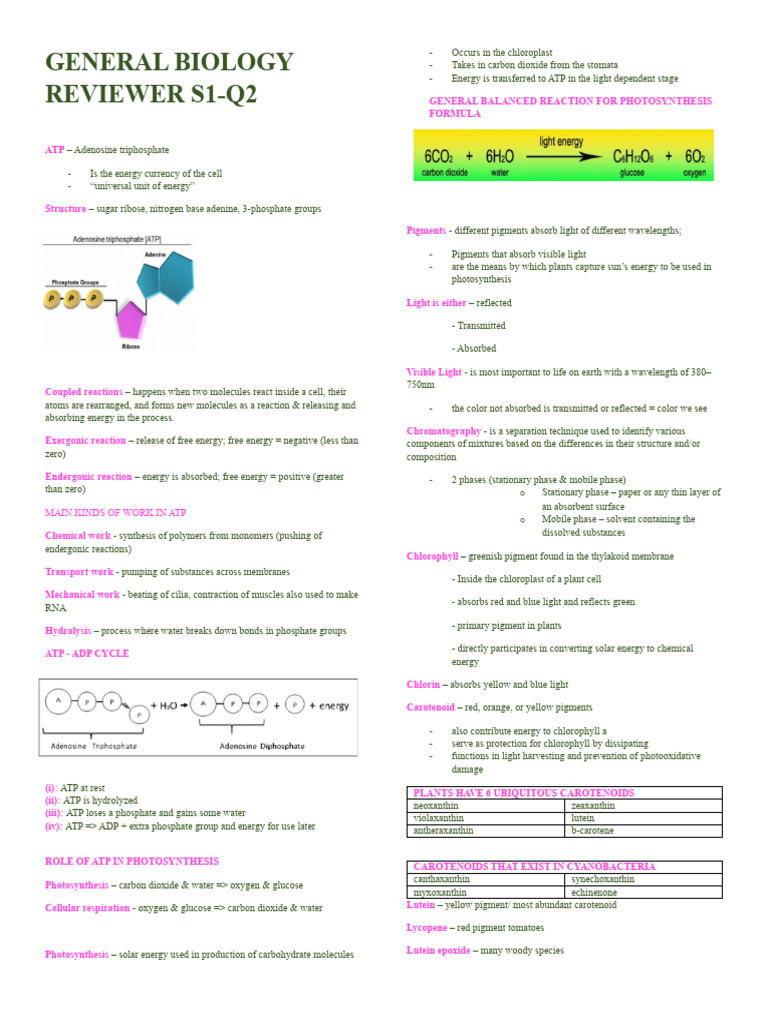 General Biology Reviewer s1 q2 | PDF | Cellular Respiration | Fermentation