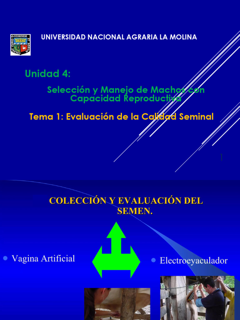 Unidad 4 - Tema 1 - Evaluacion Seminal | PDF | Semen | Microscopio