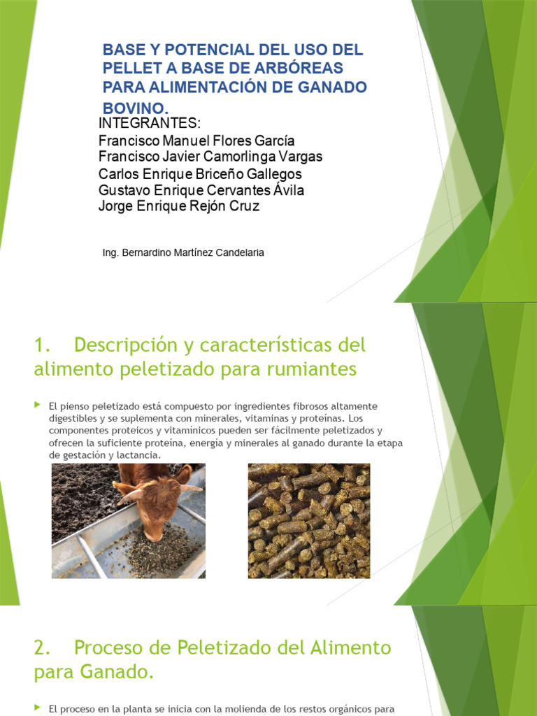 00.Base y Potencial Del Uso Del Pellet a Base de Arbóreas Para ...