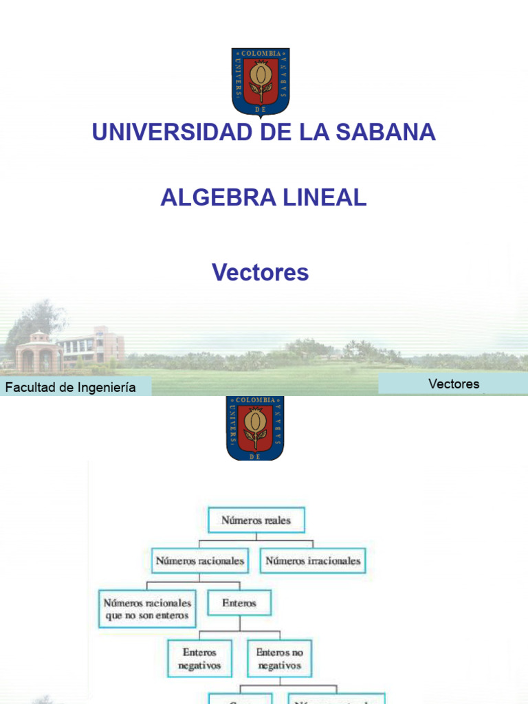 Algebra Lineal Vectores | Descargar gratis PDF | Vector Euclidiano | Espacio vectorial