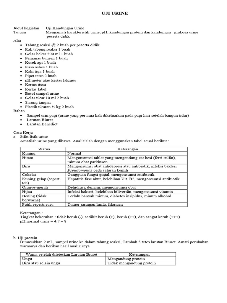 Panduan Uji Urine untuk Pelajar | PDF