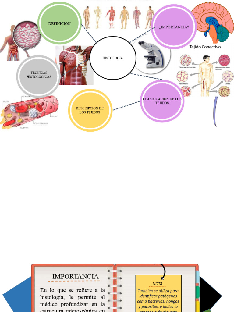 Mapá Mixto Jorman (Autoguardado) | PDF