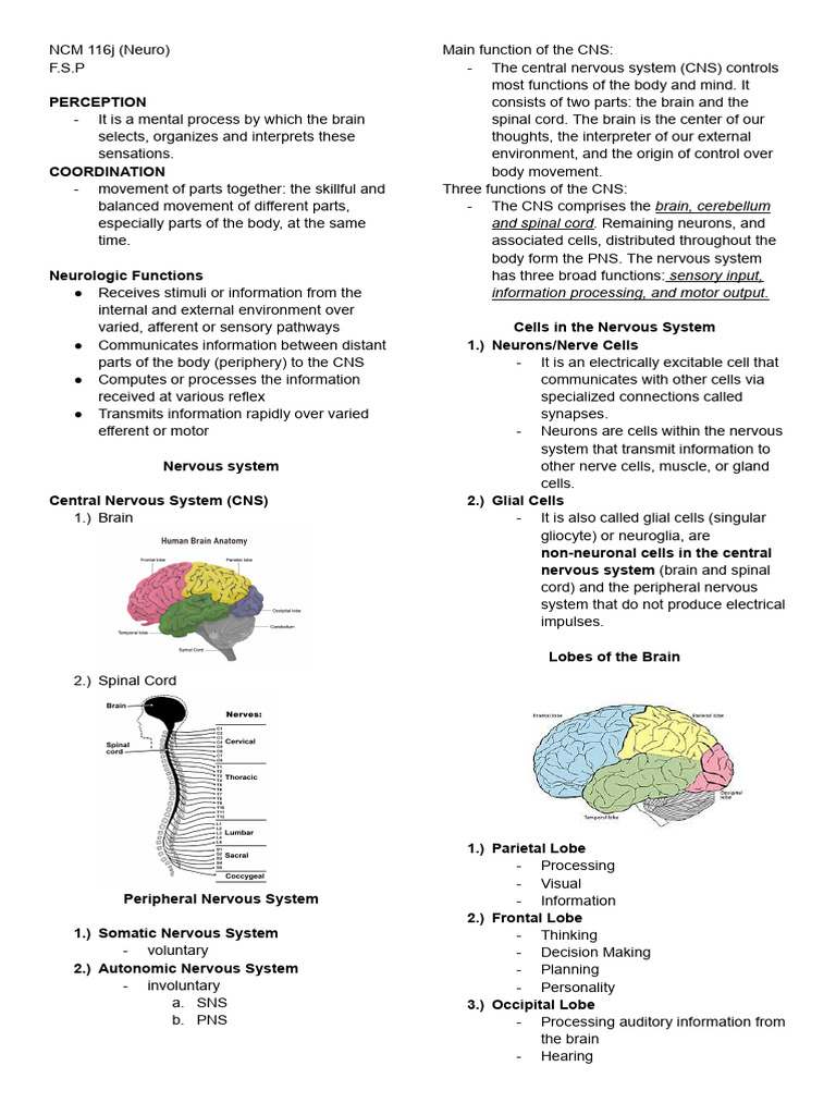 Neuro Handout | PDF | Central Nervous System | Stroke