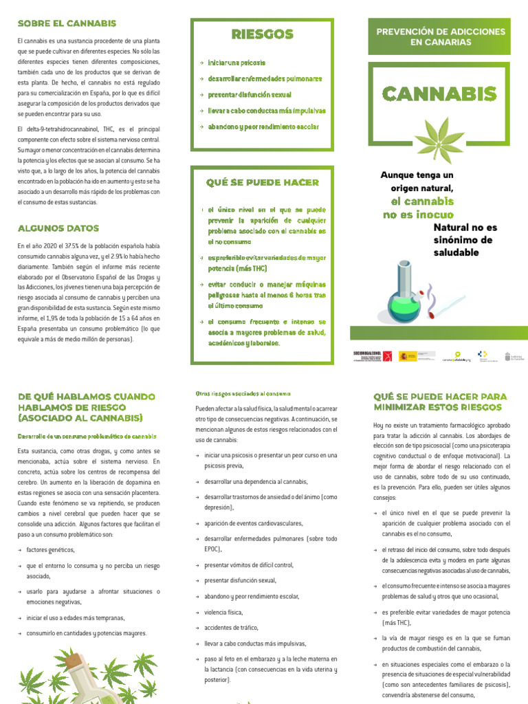 Cannabis Triptico Web | PDF | Cannabis (Droga) | Medicina CLINICA