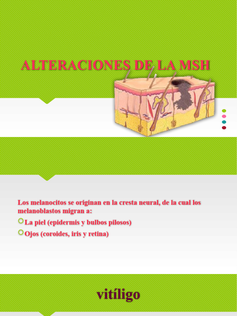 Alteraciones de La MSH | PDF | Piel | Epidemiología