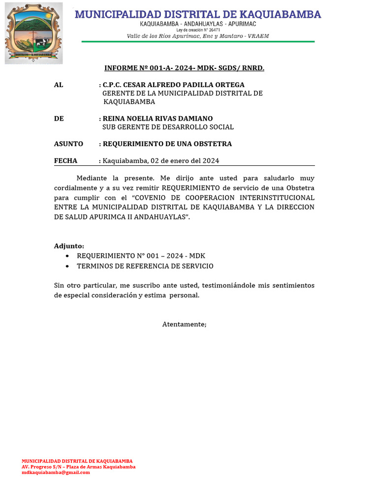 Modelo de Informe | PDF