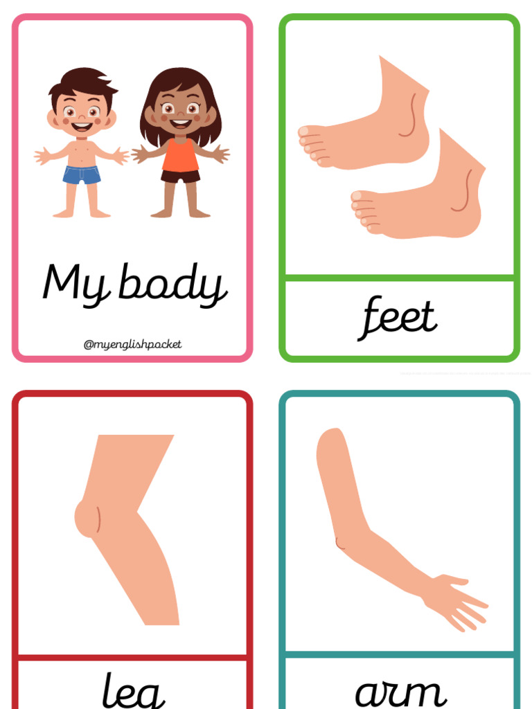 Body Parts Flashcards | PDF