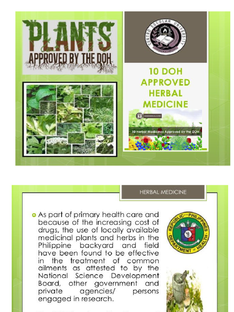 10 DOH Approved Herbal Plants | PDF