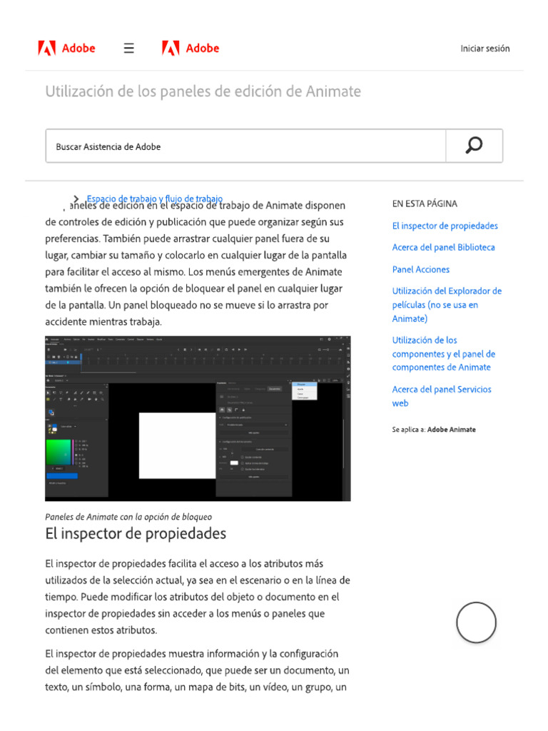 Paneles de Edición Adobe Animate 2024-C24A-SLS | PDF