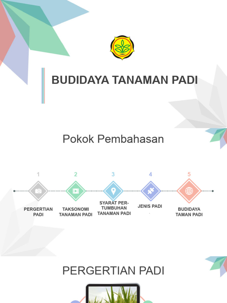 Bahan Padi | PDF