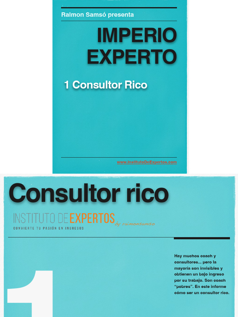 Cómo Ser un Consultor Rico | PDF | Marketing
