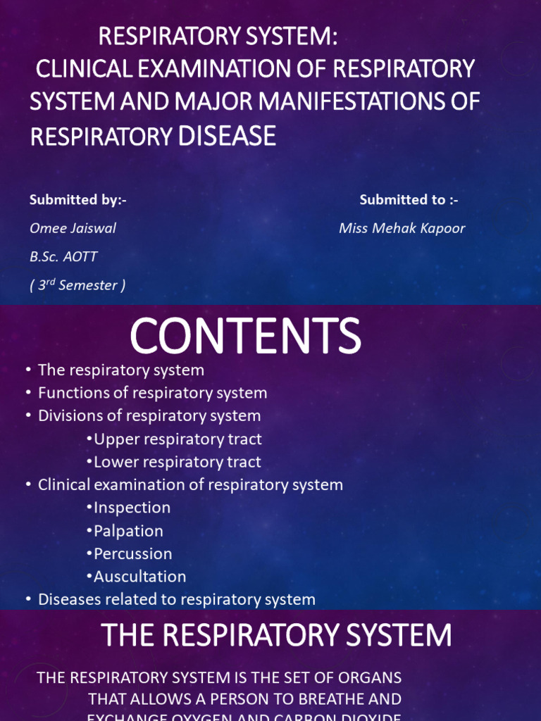 Respiratory System | PDF | Lung | Respiratory Tract
