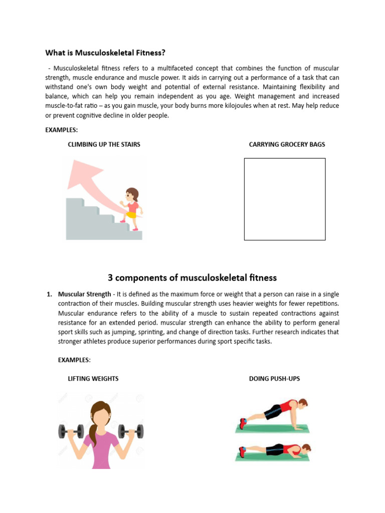 Musculoskeletal Fitness | PDF | Physical Fitness | Flexibility (Anatomy)