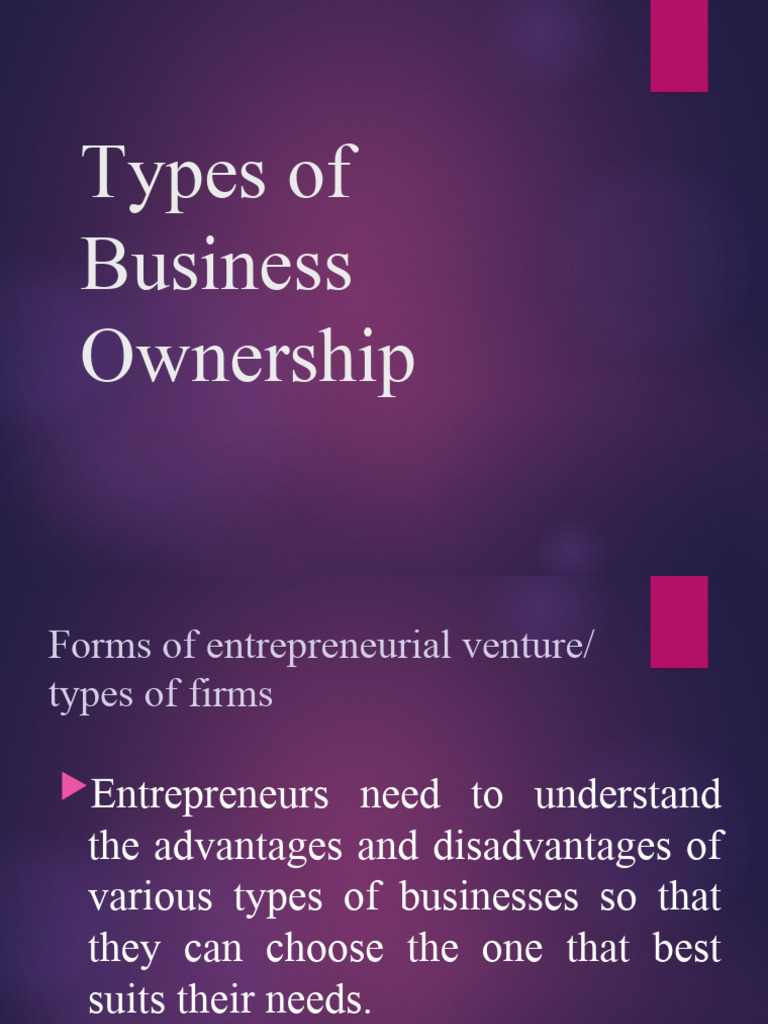 Types of Business Ownership Explained | PDF | Limited Liability Company ...
