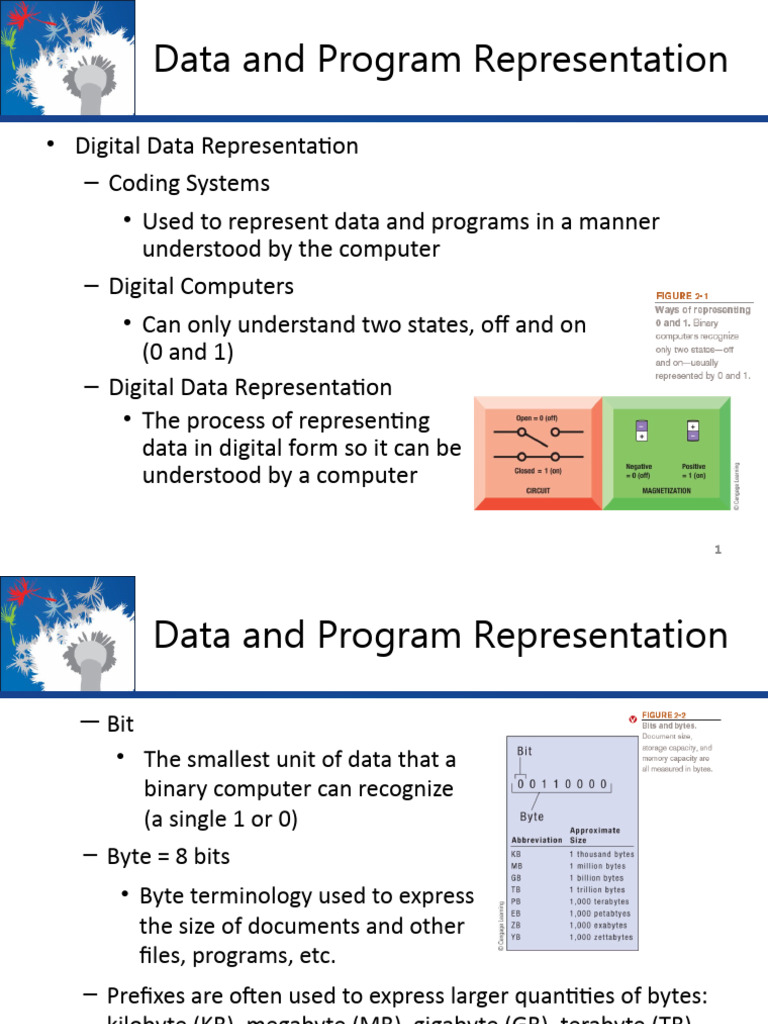 The Systems Unit | PDF | Computer Data Storage | Byte