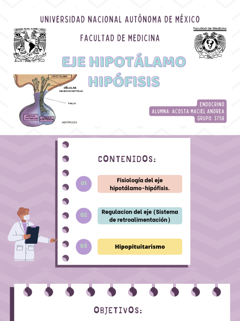 Eje Hipotálamo Hipófisis | PDF | Glándula pituitaria | Hipotálamo