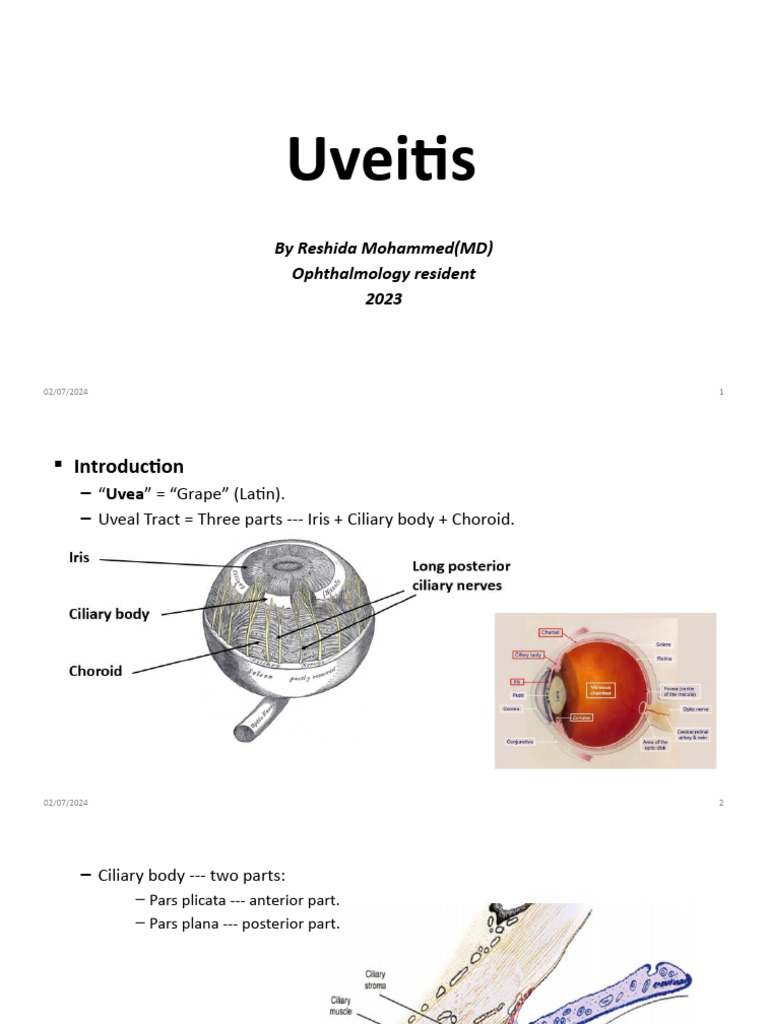 Part 3 Uveitis | PDF | Causes Of Death | Vision