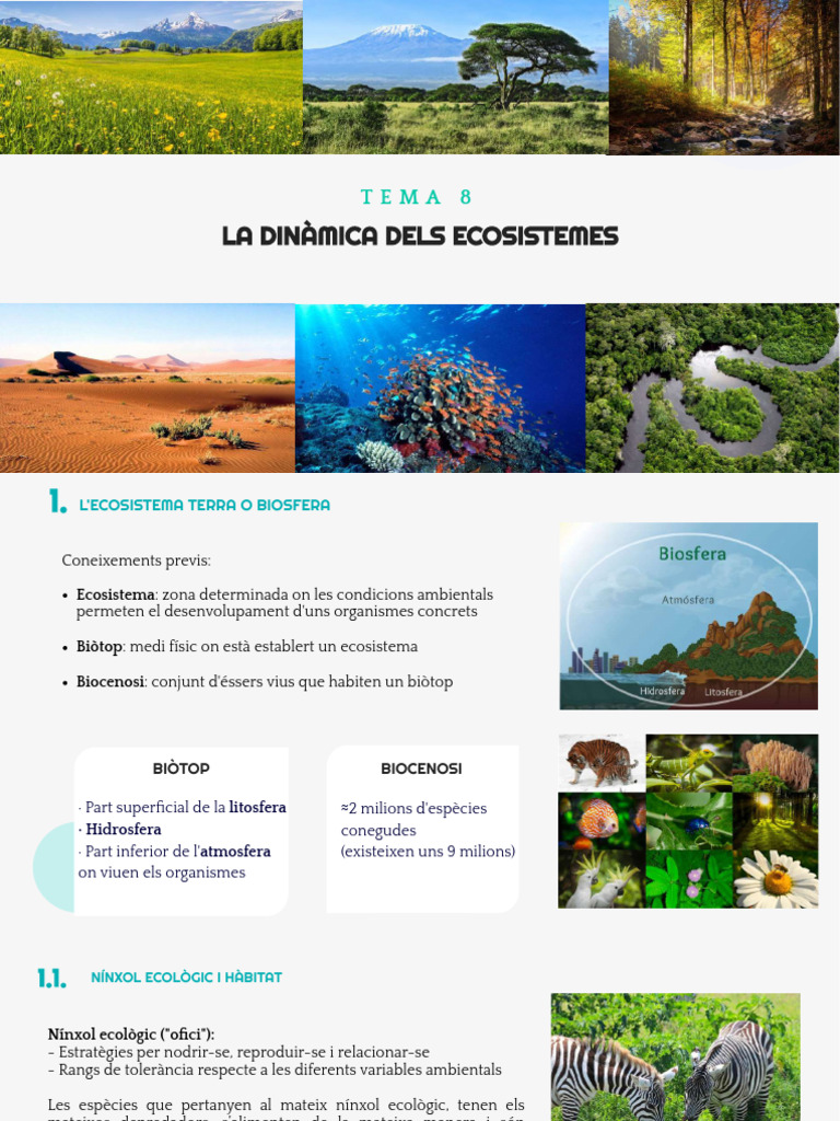 Tema8 Compressed | PDF