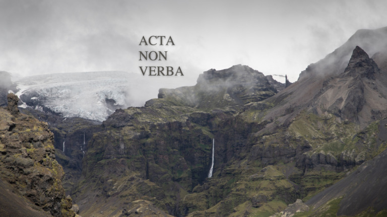 Acta Non Verba | PDF